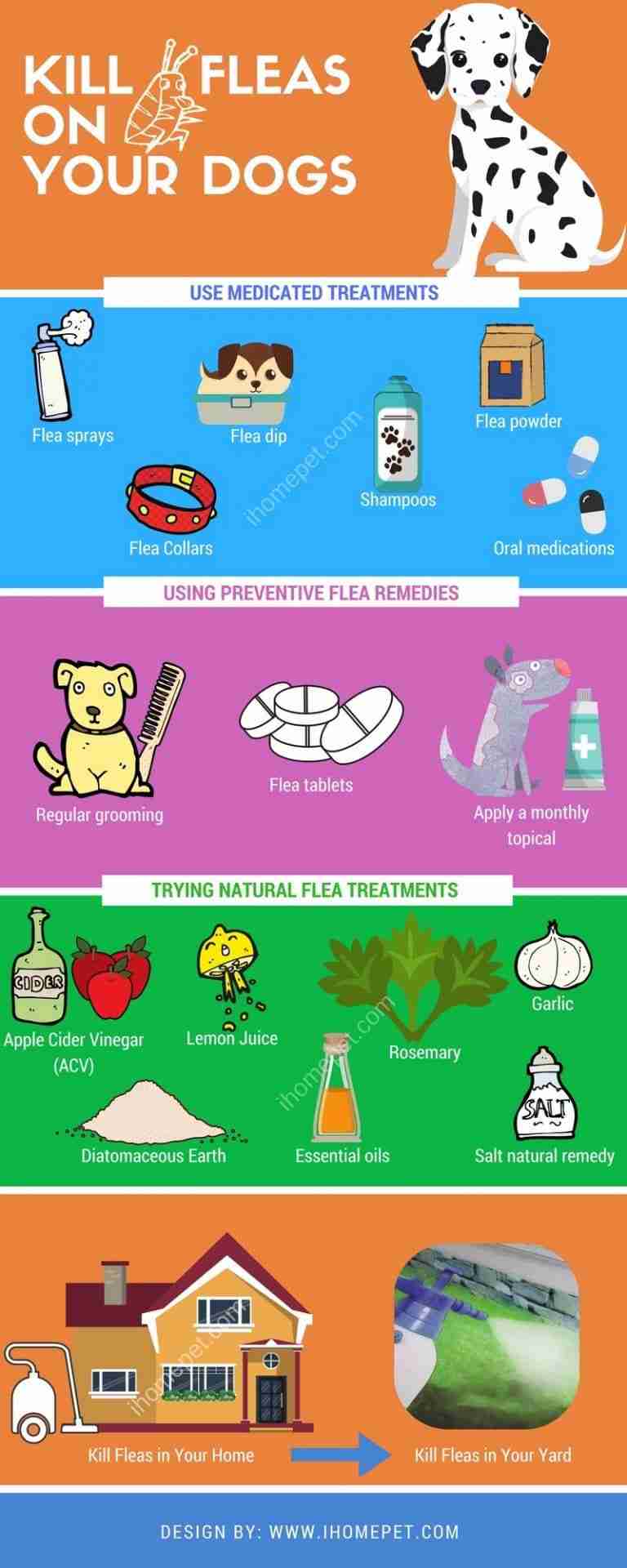 How to Get Rid of Fleas on Dogs? | 5 Mistakes To Avoid - iHomePet