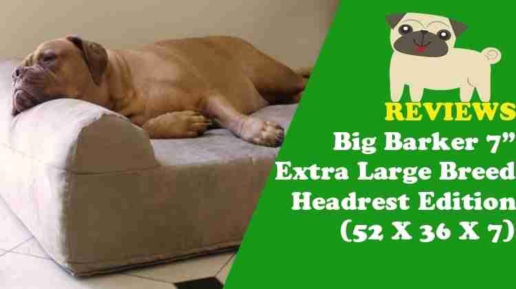 Big Barker 7 Inch Extra Large Breed Dog Bed (Headrest Edition)
