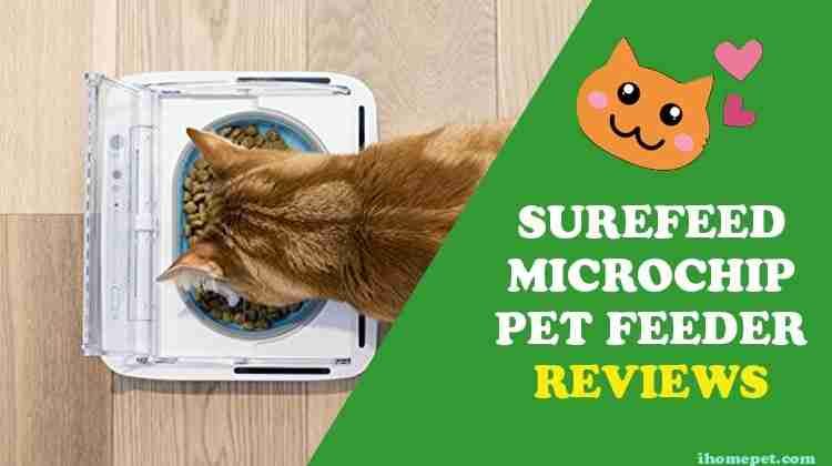 SureFeed Microchip Pet Feeder For Wet and Dry Food - iHomePet