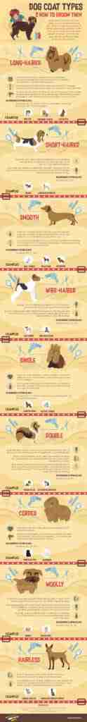 [Infographic] Dog Coat Types & How to Groom Them - iHomePet